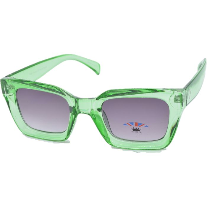 Rectangular Retro Sunglasses (12pcs)
